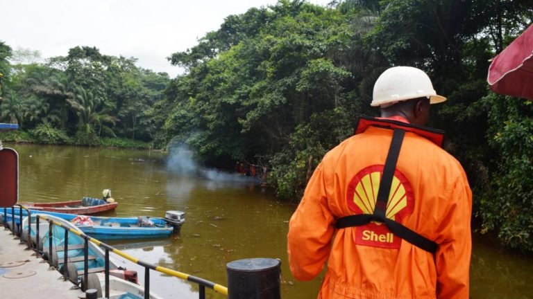 Shell: Niger Delta dead fishes not linked to our operation - Ships & Ports